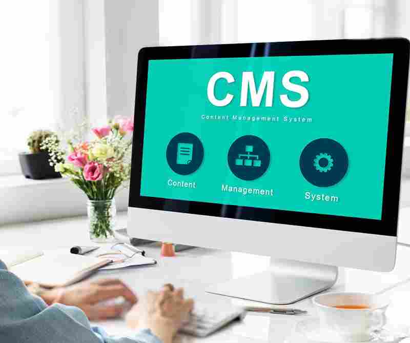 What Is a Content Management System (CMS)?
